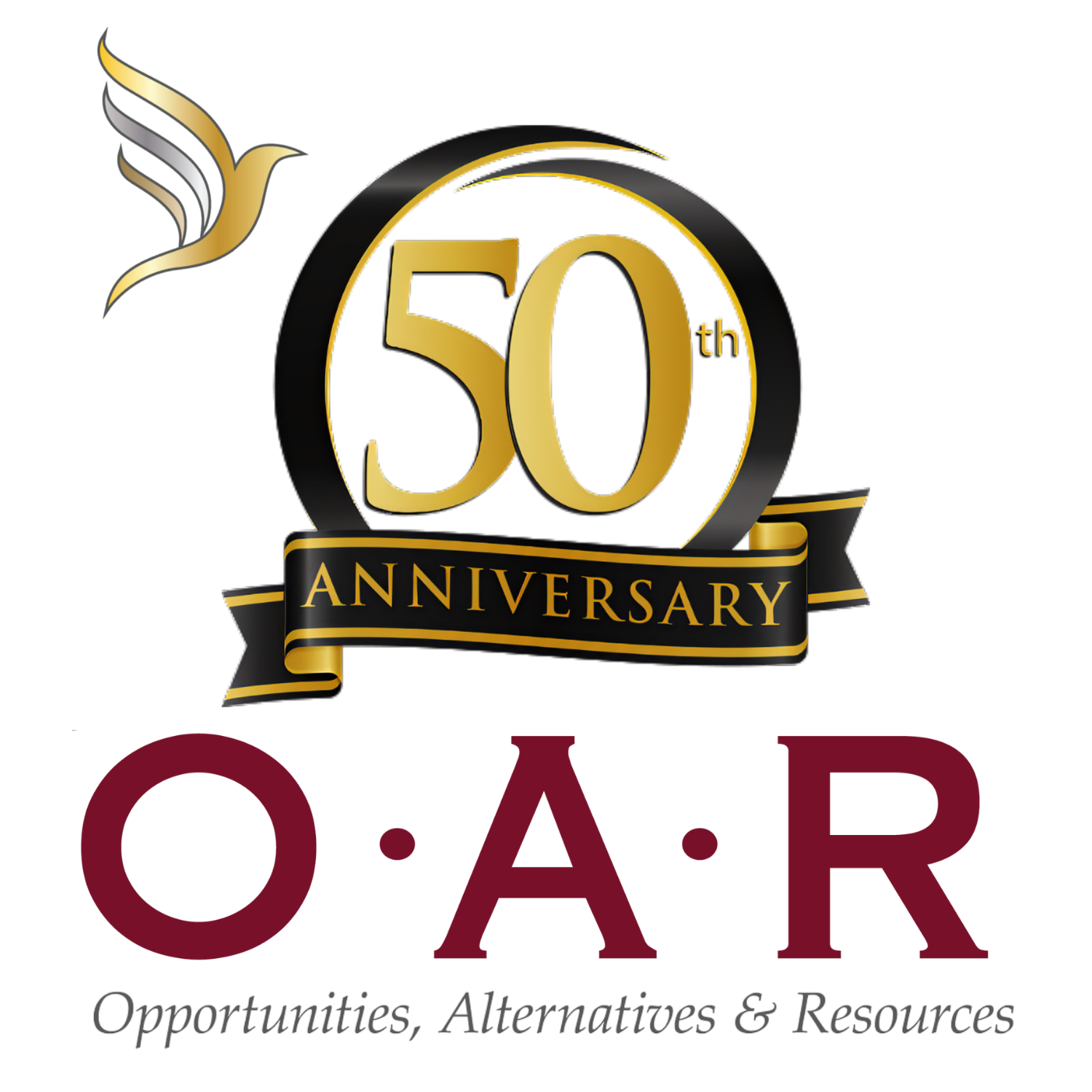 Volunteer Opportunities | OAR NOVA